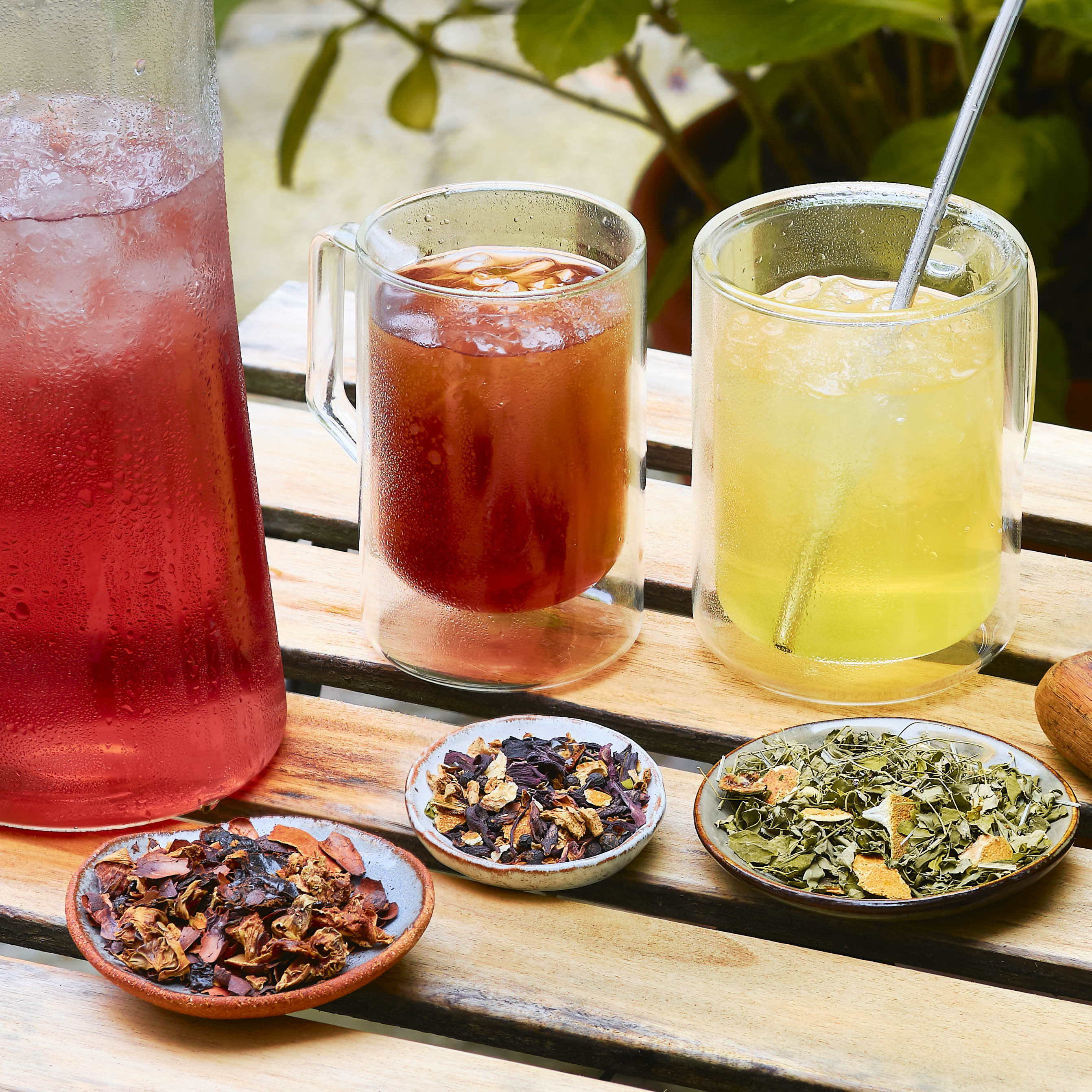 TEA TRIBES & Co. – Maison de thés et infusions ethnobotaniste. – Tea Tribes