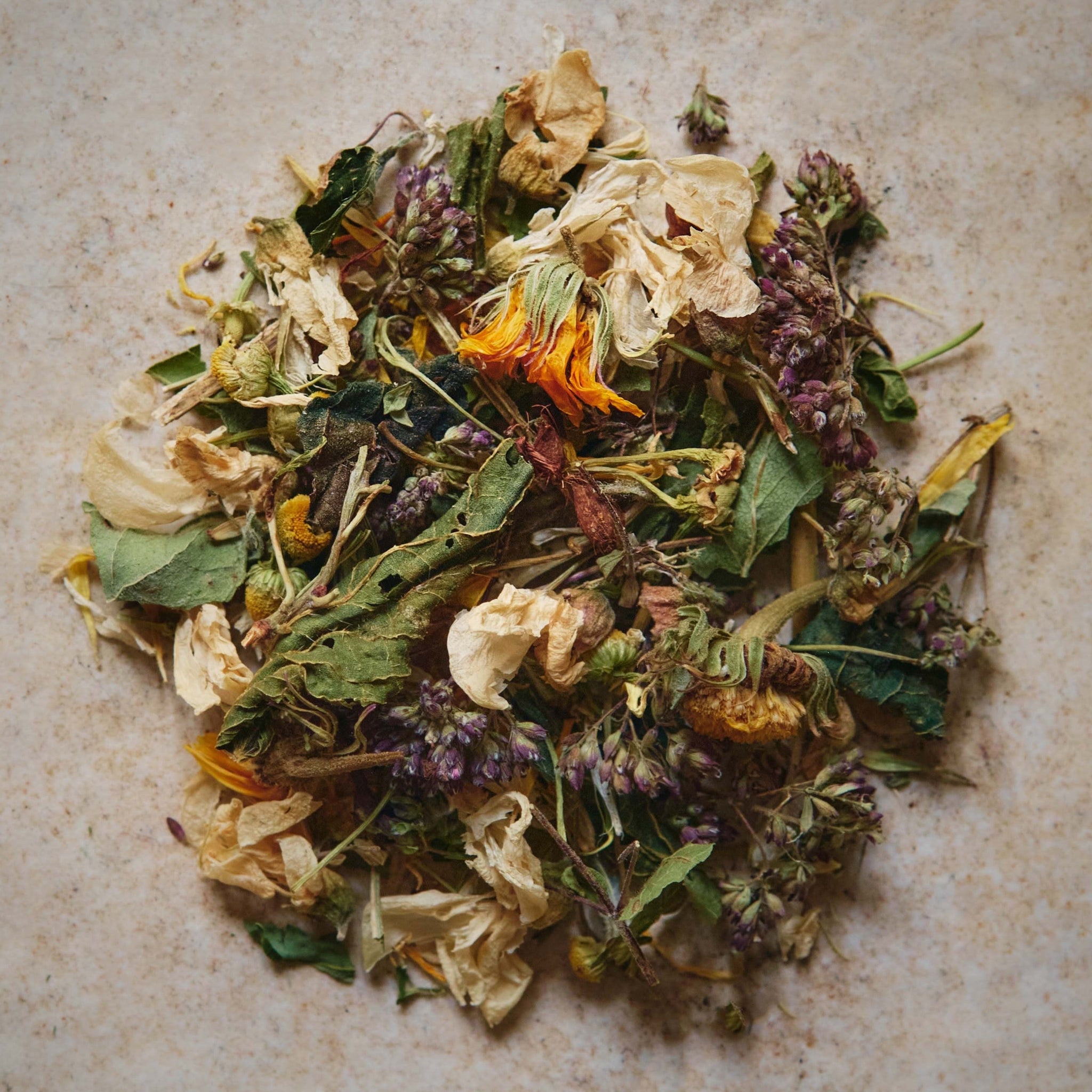 KOZAK: Natural Ukrainian herbal tea. Helps you resist calmly. – Tea Tribes